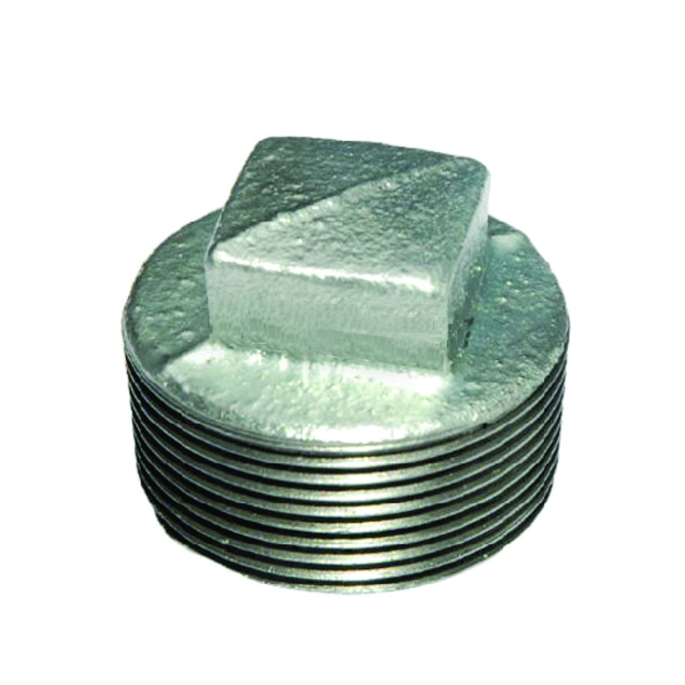 Square Plug - India Valves & Fittings