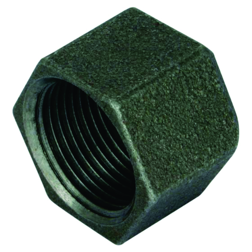 Hex End Cap - India Valves & Fittings