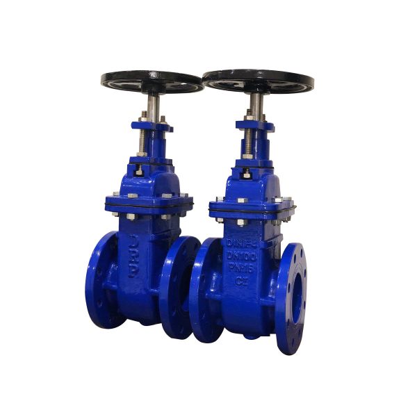 Cast Iron Valves Archives - India Valves & Fittings